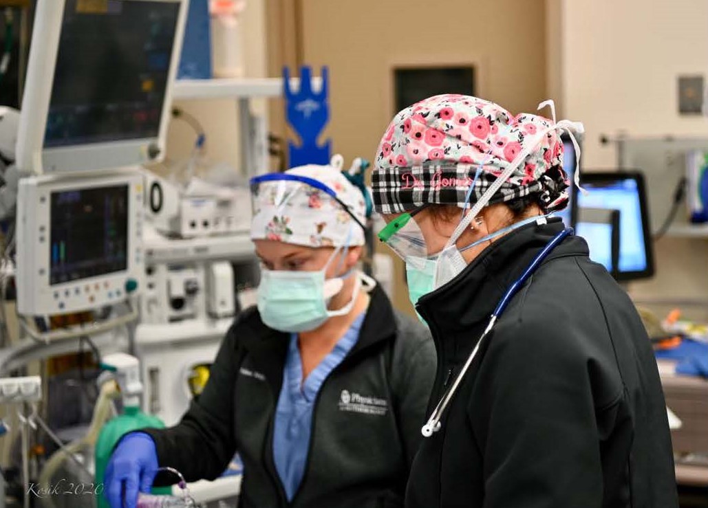 Medical Student Courses